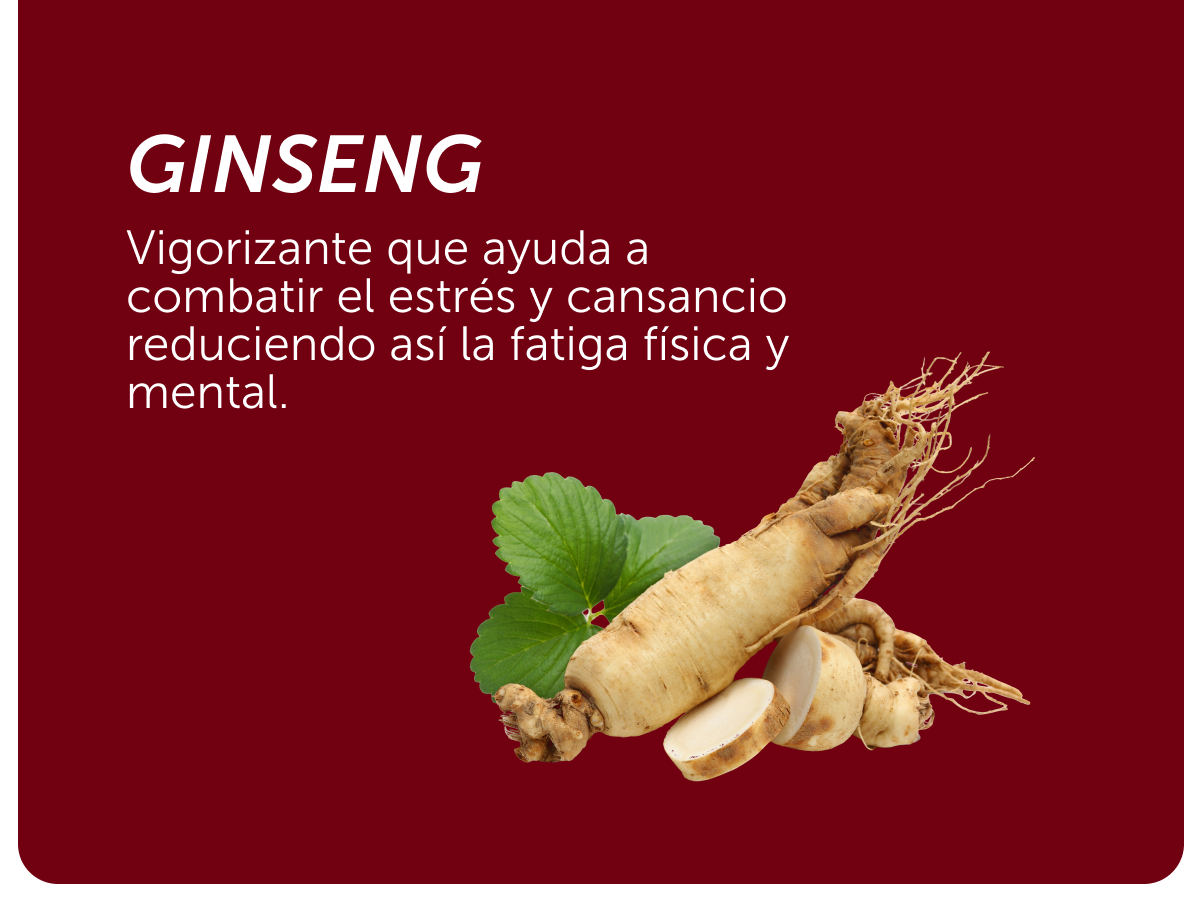 Evervital® Redntense 90 Cápsulas – Bomuca